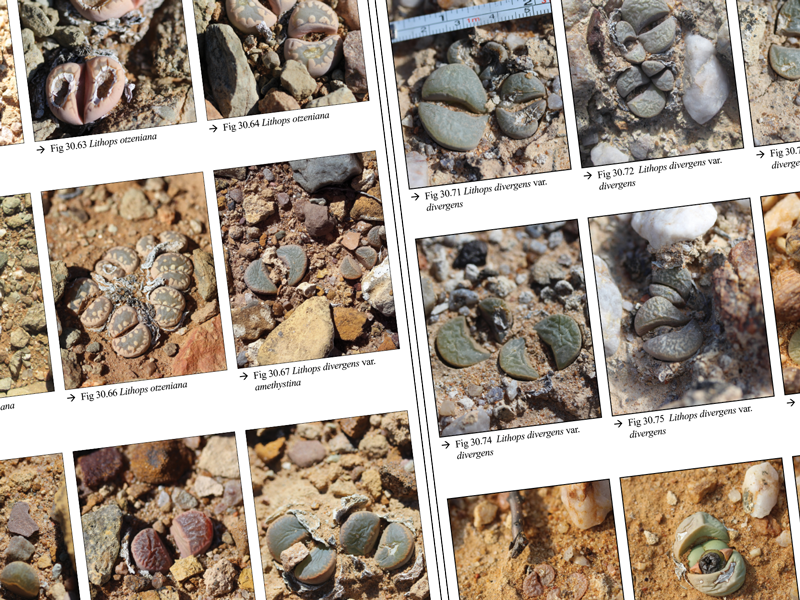 Highly organised Freelance Artworker in Brighton – Freelance Artworker ...